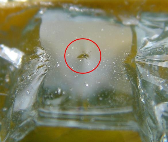 Spontaneous Breakage of Thermally Toughened Glass | GT Glass